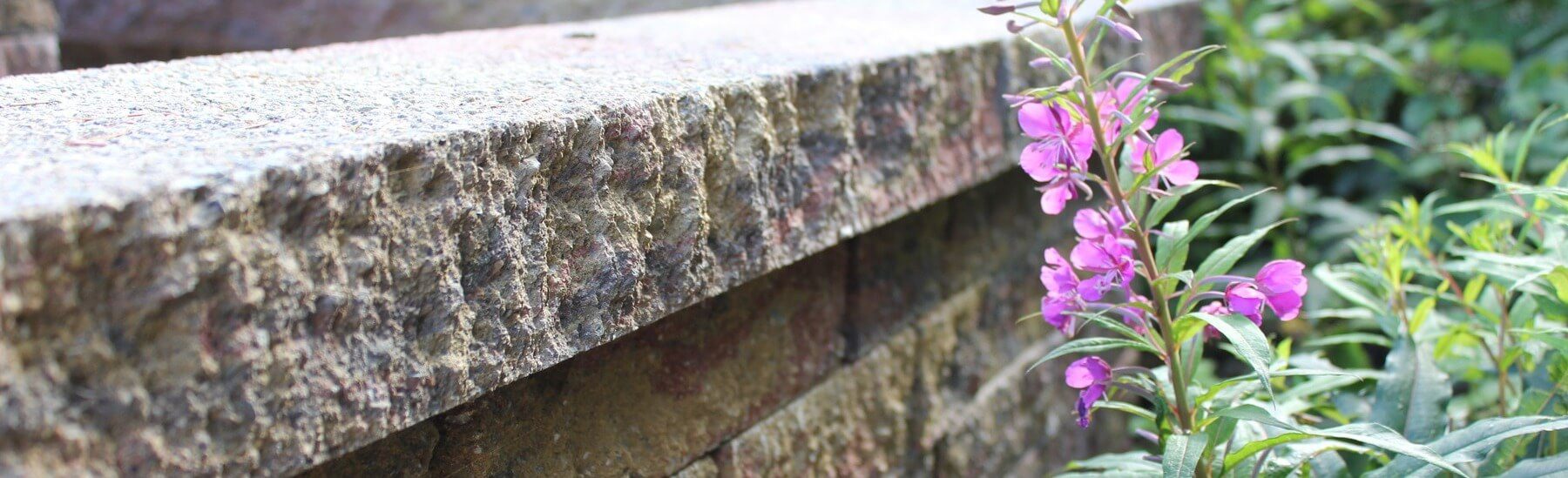 Connemara Capping - Kilsaran International